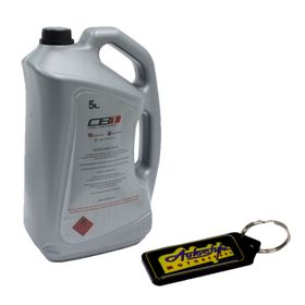 Fuel Octane Petrol Booster OB1 Premium edition 2023 & Gel Key Holder ...
