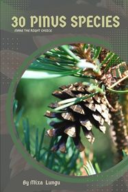 30 Pinus species: Make the right choice | Shop Today. Get it Tomorrow! | takealot.com