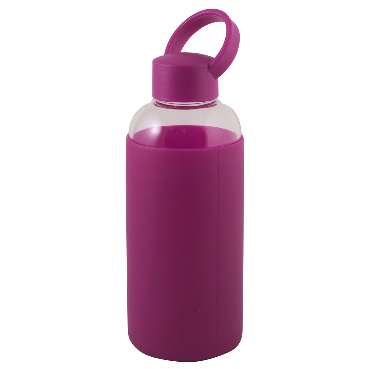 600ml Aqua Loop Water Bottle | Shop Today. Get it Tomorrow! | takealot.com