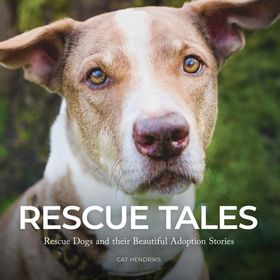 Rescue Tales: Rescue Dogs and their Beautiful Adoption Stories | Shop ...