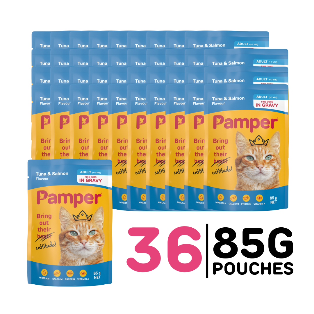 Pamper Adult Wet Cat Food Tuna & Salmon Flavour in Gravy Pouch (36 x ...