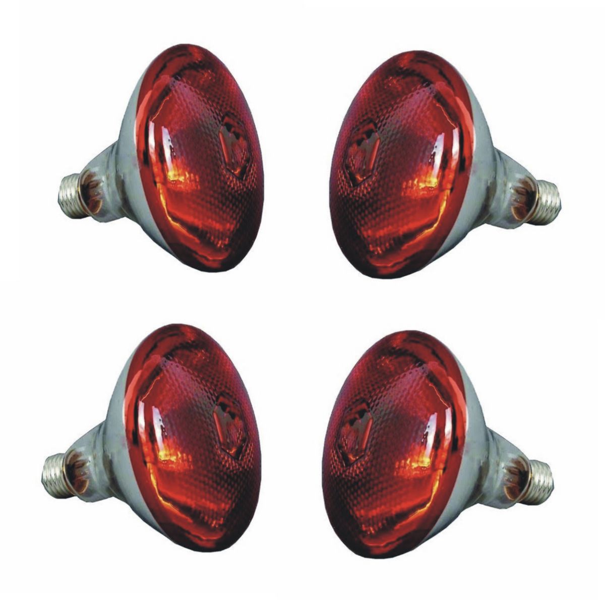 Infrared brooder Bulbs 200W 4 x Lamps | Shop Today. Get it Tomorrow ...