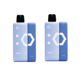 Elf Bar 9000 Puffs Rechargeable Pod Kit 50mg - Grape - 2 Pack | Shop ...