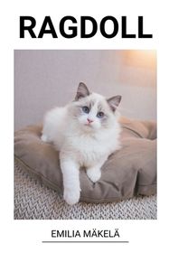 Ragdoll | Shop Today. Get it Tomorrow! | takealot.com