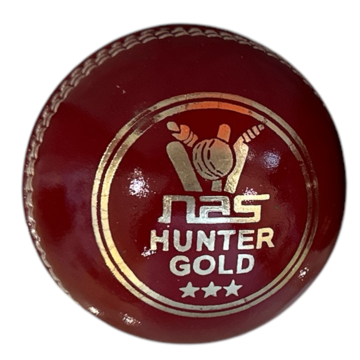 NAS 156g Hunter Gold Cricket Balls 2 Piece - Set of 6 | Shop Today. Get ...