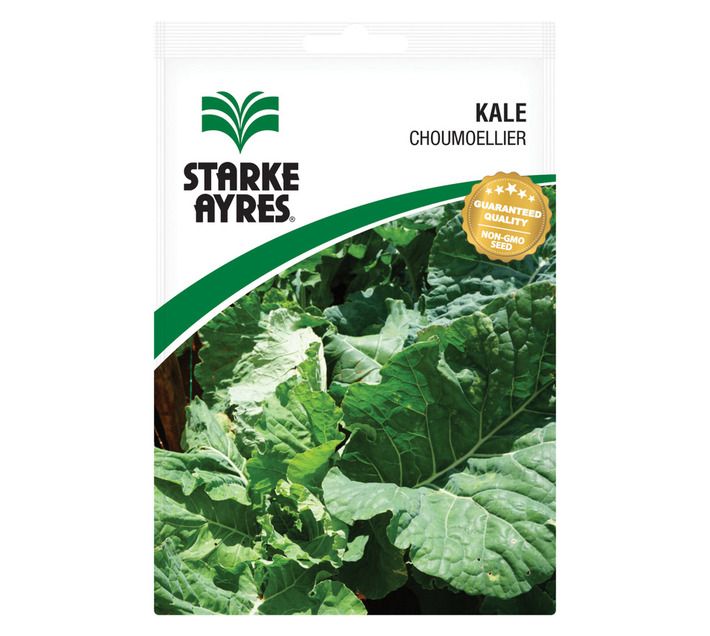 Starke Ayres Kale Seeds Polypack | Shop Today. Get it Tomorrow ...