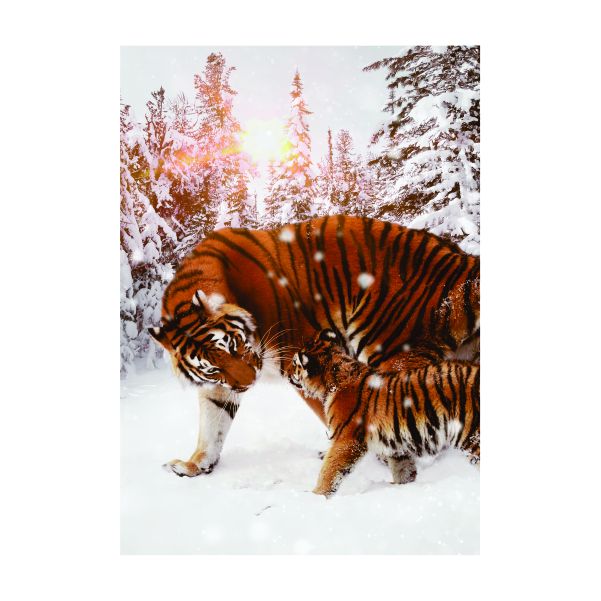 Snow Tiger - A1 Poster | Shop Today. Get it Tomorrow! | takealot.com
