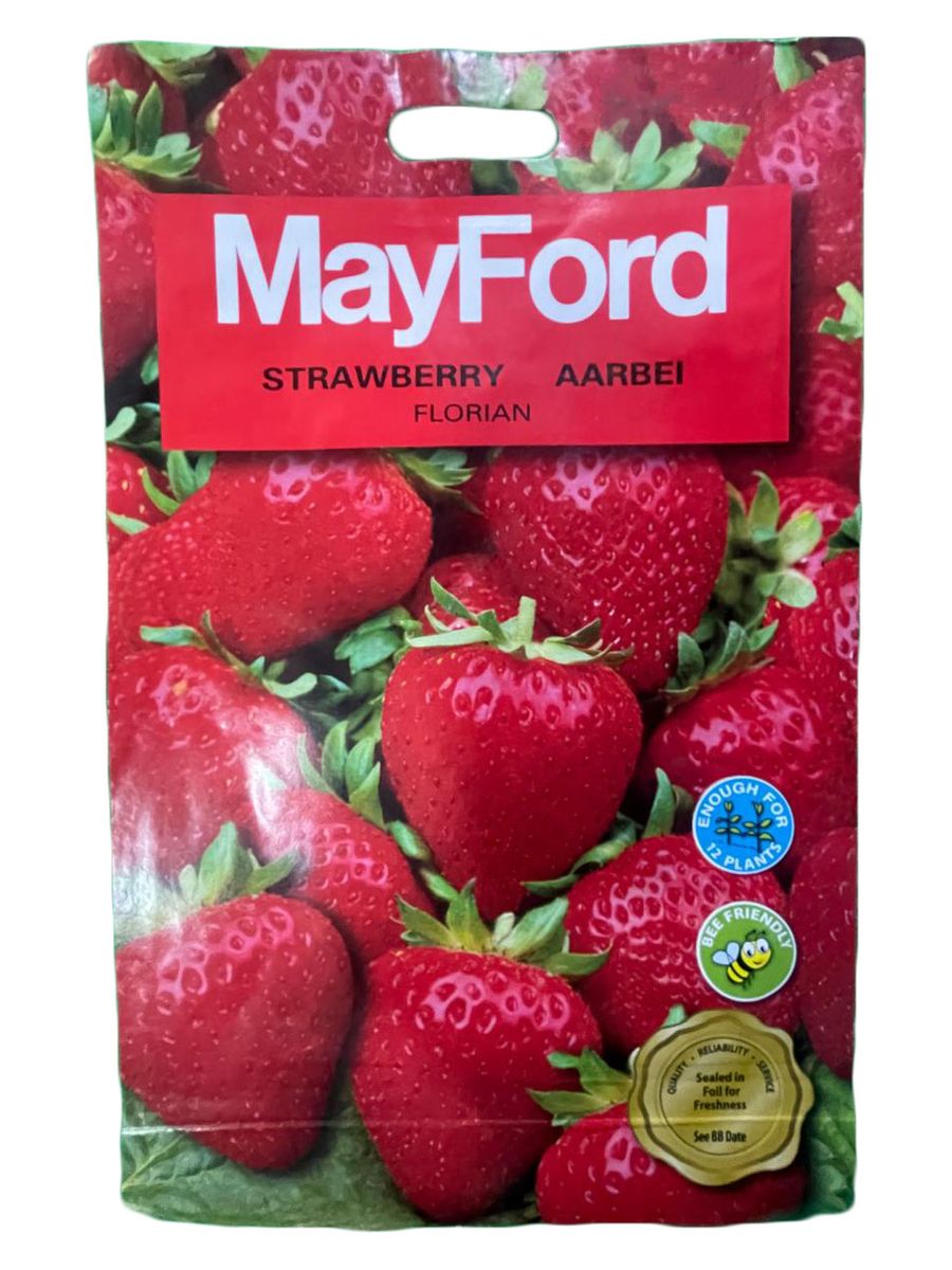 Mayford Strawberry Seeds | Shop Today. Get it Tomorrow! | takealot.com