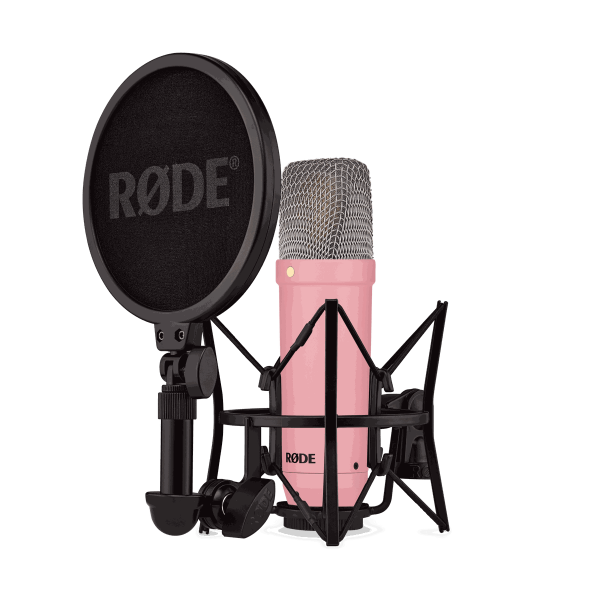 RODE NT1 Signature Series - Studio Condenser Microphone (Pink) | Shop ...