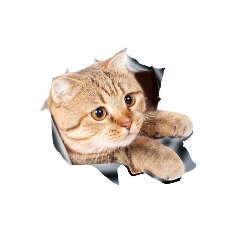 Small 3D Cat Car Sticker | Shop Today. Get it Tomorrow! | takealot.com