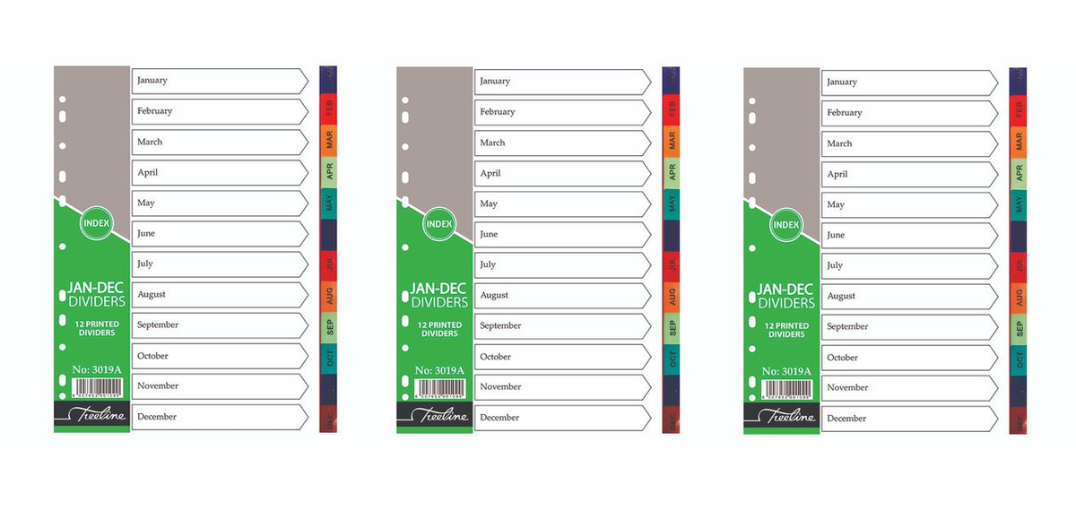 Treeline Divider January To December Printed A4 PVC - Pack of 3 | Shop ...