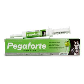 10g - Pegaforte Oral Dewormer Paste For Horses Up To 600KG | Shop Today ...