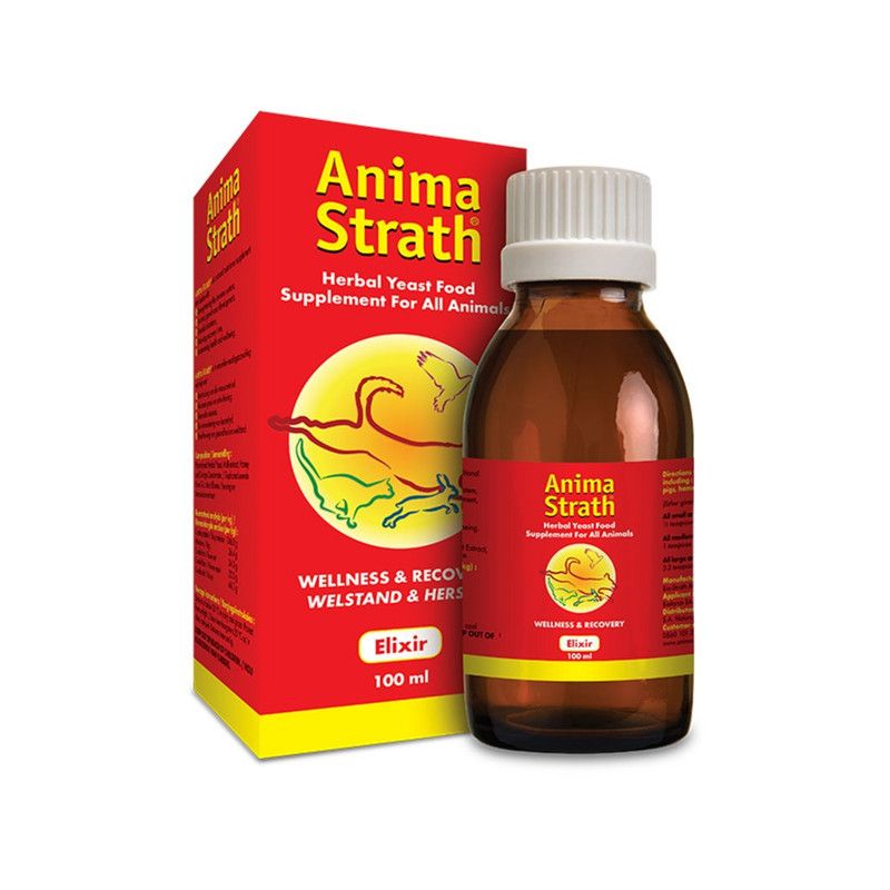 Anima Strath Elixir Wellness & Recovery Supplement For Dogs | Shop ...