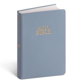 NIV Steel Blue Vinyl Bible | Shop Today. Get it Tomorrow! | takealot.com