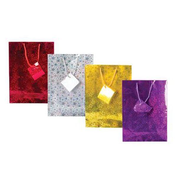 Medium Metallic Gift Bags 20x28cm 4pc | Shop Today. Get it Tomorrow ...