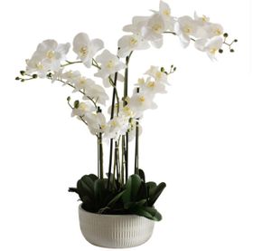 Realistic, Elegant Silk Orchids | Shop Today. Get it Tomorrow ...