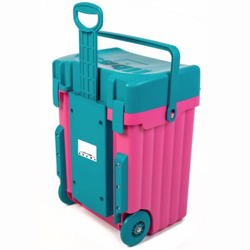 Cadii Bag - CSB-3X8X - Pink Body and Aqua Trim | Shop Today. Get it ...