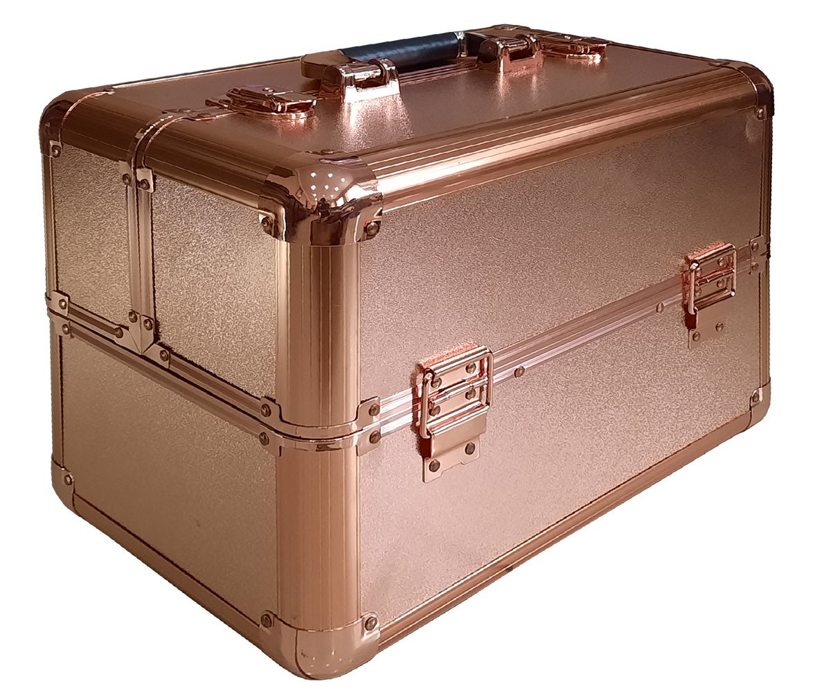 Professional Cosmetic Makeup Case with Lockable Key - Rose Gold | Shop ...