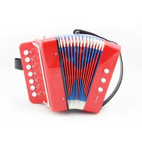 14 Tone Accordion - Kids Musical Instrument | Shop Today. Get it ...