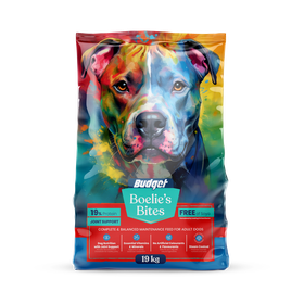 Boelie's Bites Budget Adult 19kg | Shop Today. Get it Tomorrow ...