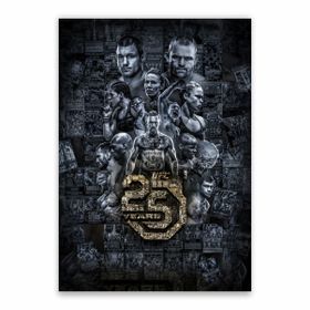 UFC 25 Years Poster - A1 | Shop Today. Get it Tomorrow! | takealot.com