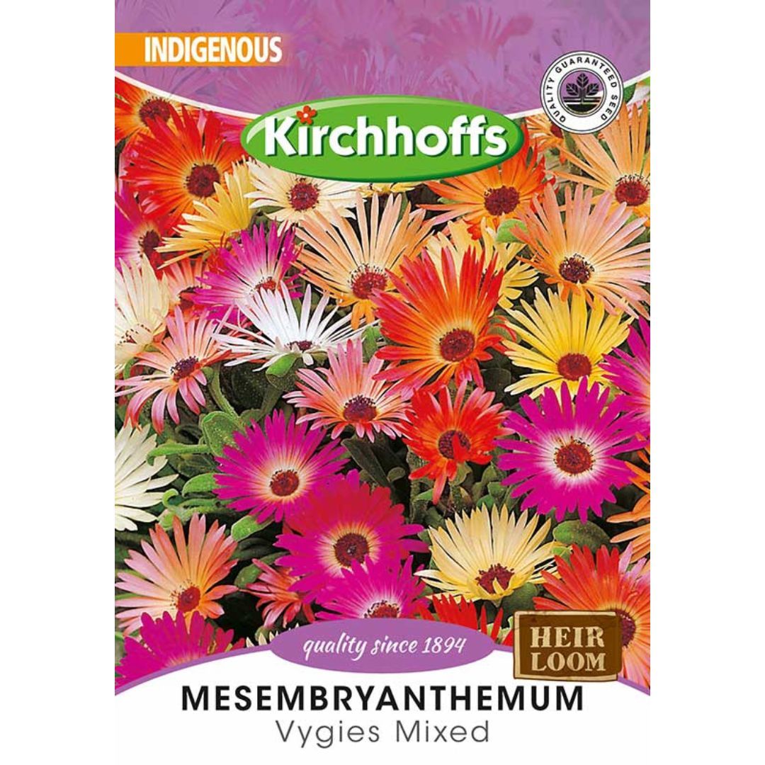 Kirchhoffs Mesembryanthemum Vygies Mixed Seeds | Shop Today. Get it ...