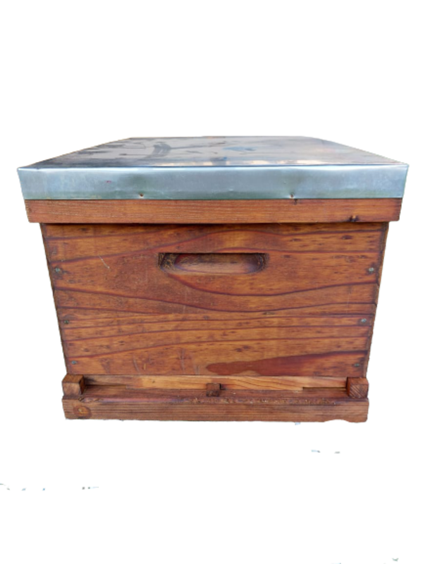 Beehive - Brood Chamber (10 Frames) | Shop Today. Get it Tomorrow ...