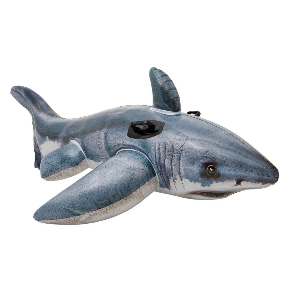 Intex Inflatable White Shark | Shop Today. Get it Tomorrow! | takealot.com