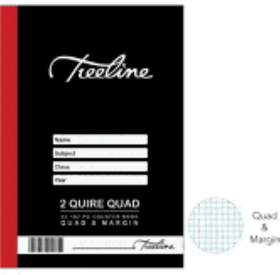 2-Quire 192pg Quad Book (Pack of 2) | Shop Today. Get it Tomorrow ...