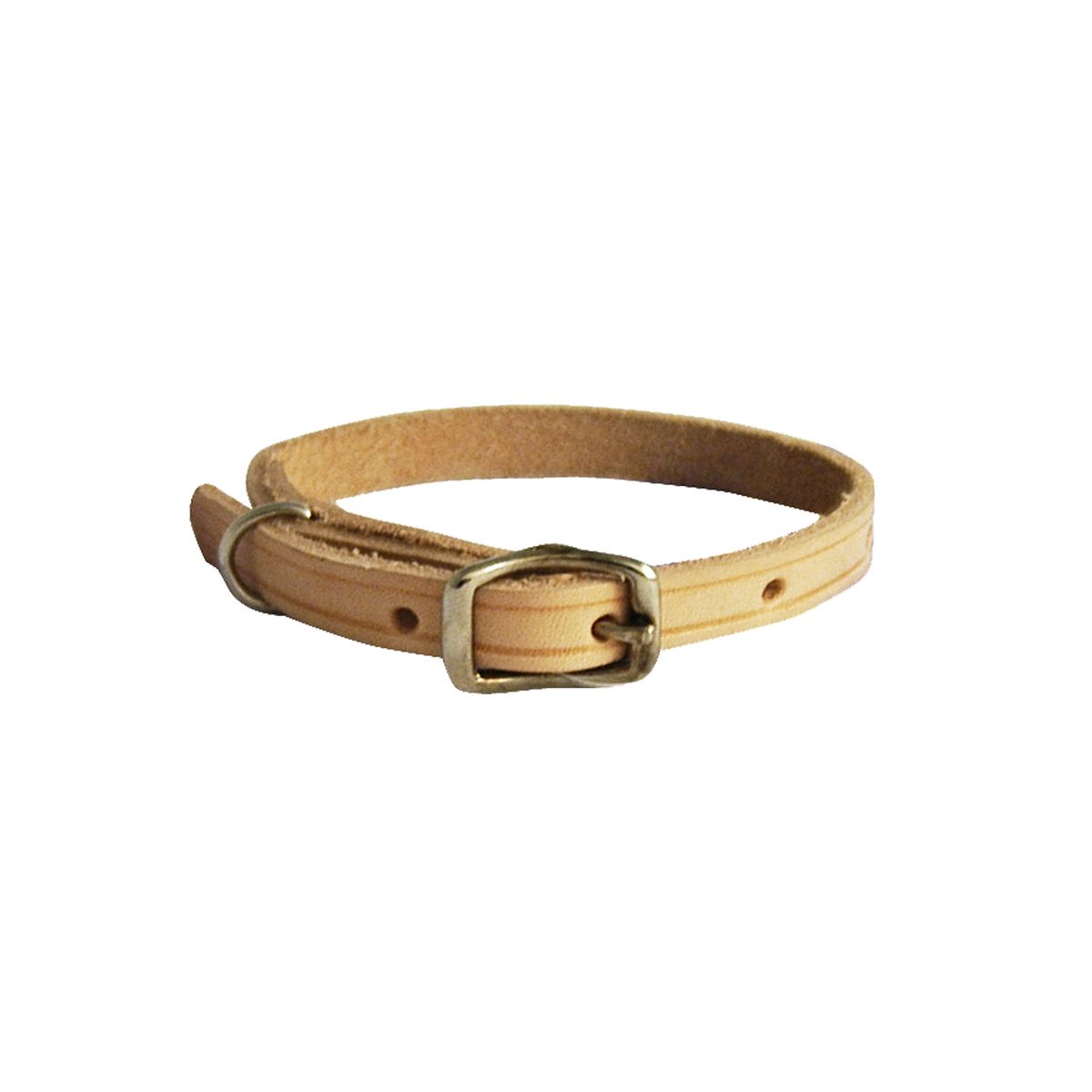 Dog Collar Plain - #1 - 300mm | Shop Today. Get it Tomorrow! | takealot.com