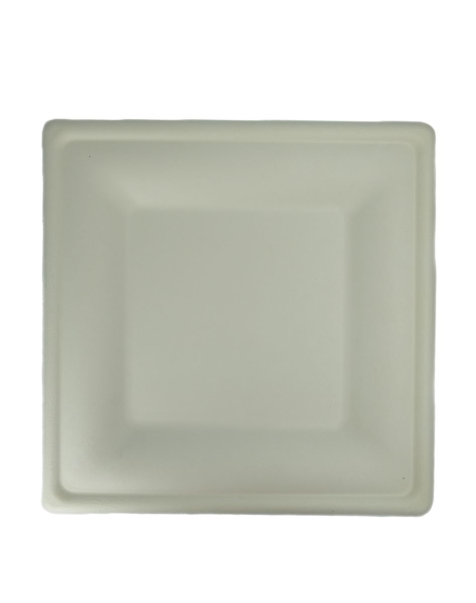 Sugarcane Square Plate Eco-Friendly - 26cm - Pack of 50 | Shop Today ...