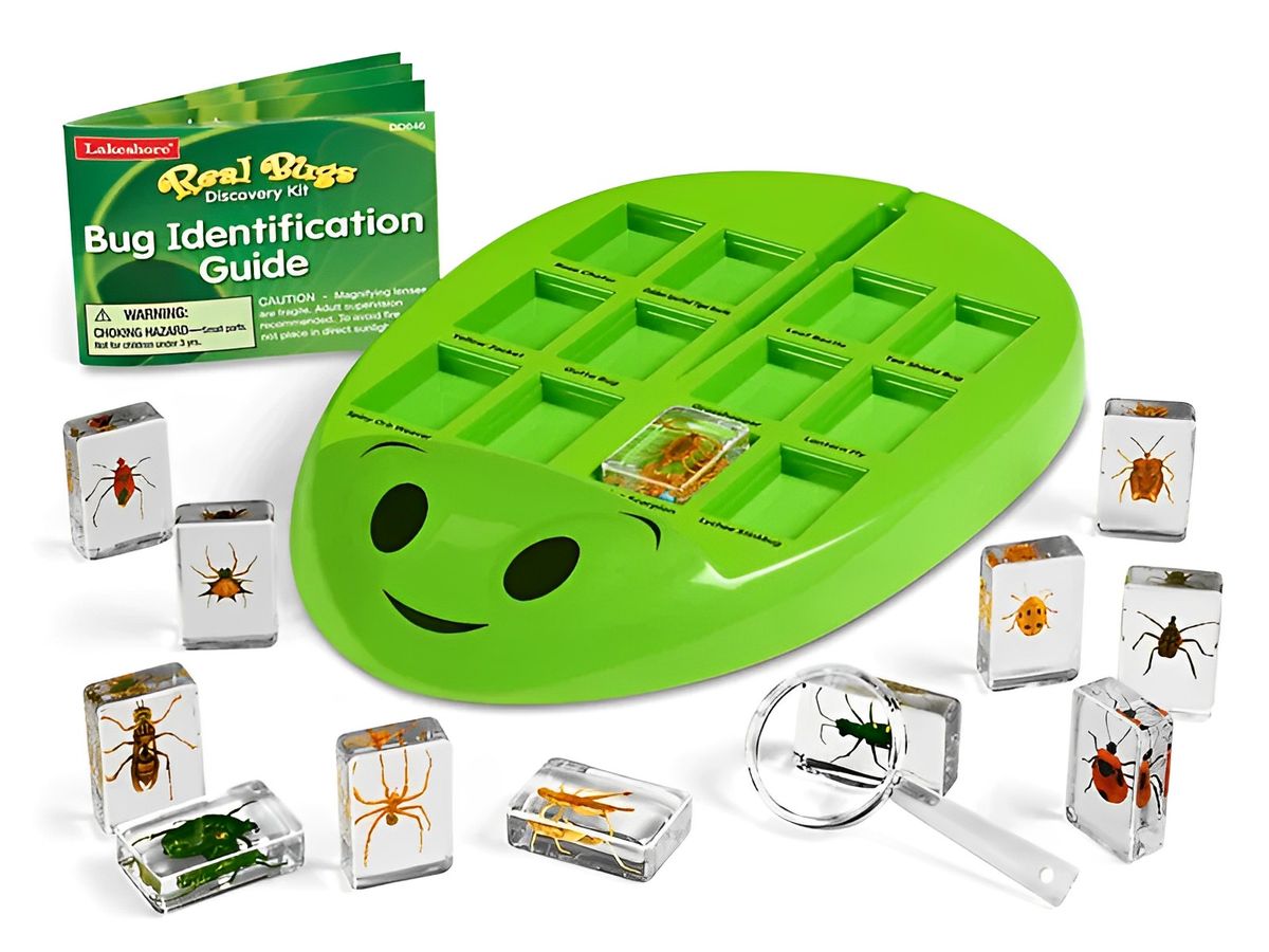Real Bugs Discovery Kit | Shop Today. Get it Tomorrow! | takealot.com