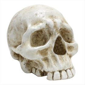 Skull Decoration Skull Day of the Dead Human Skull Resin Model Art ...