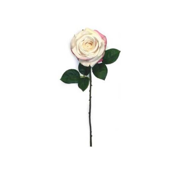 Toolhome Blossoms - Roses - Cream Pink - 46cm | Shop Today. Get it ...