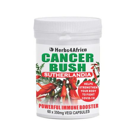 Medico Herbs Cancer Bush Sutherlandia Frutescens 60 X 350, 59% OFF