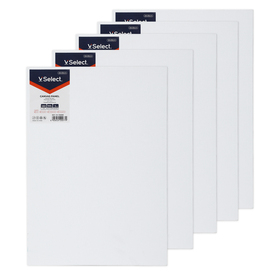 VSelect-20x30cm A4 Canvas Panels for Painting, Cotton Canvas Boards ...