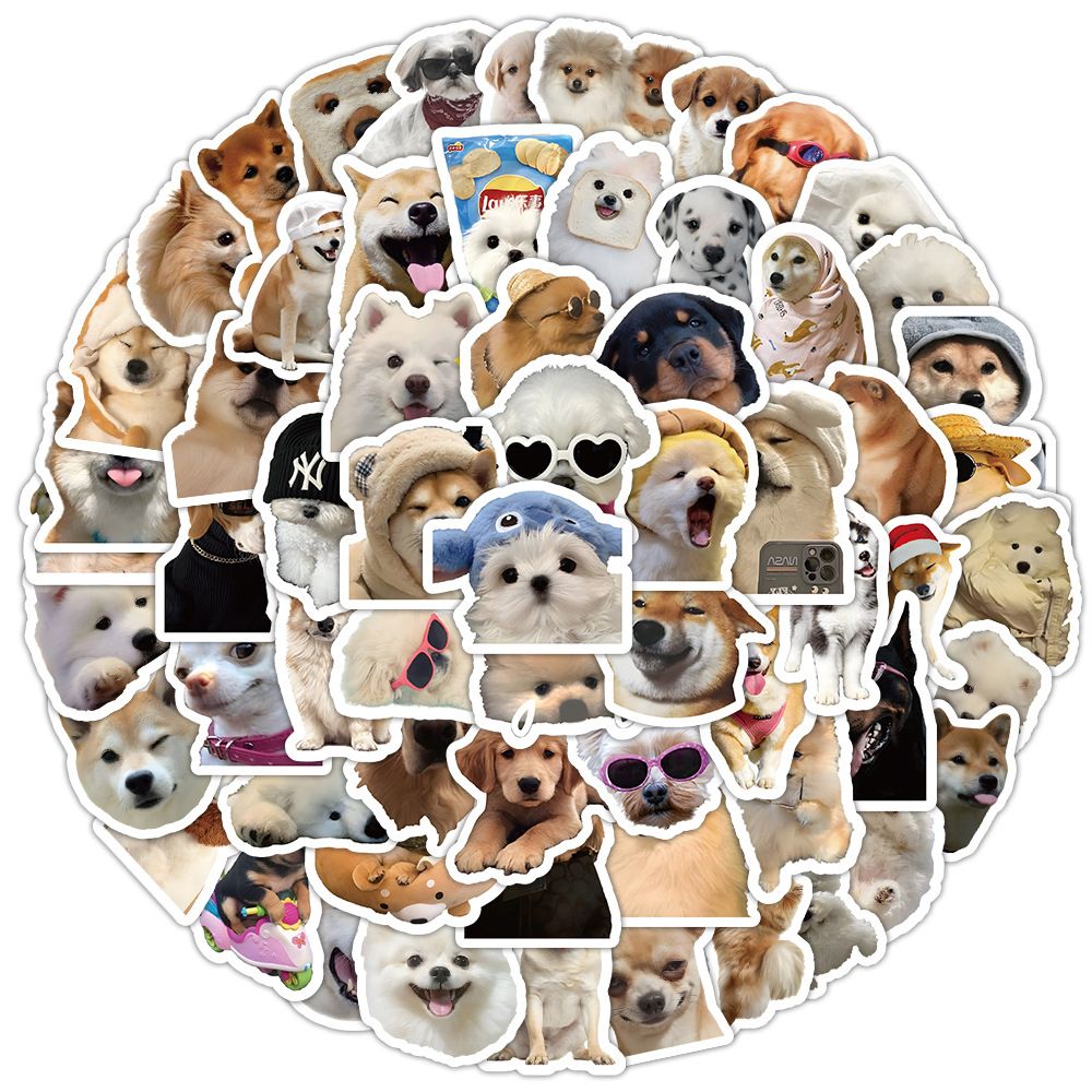 100 Pcs Funny Cat Meme Stickers,Waterproof Vinyl Animal Stickers | Shop ...