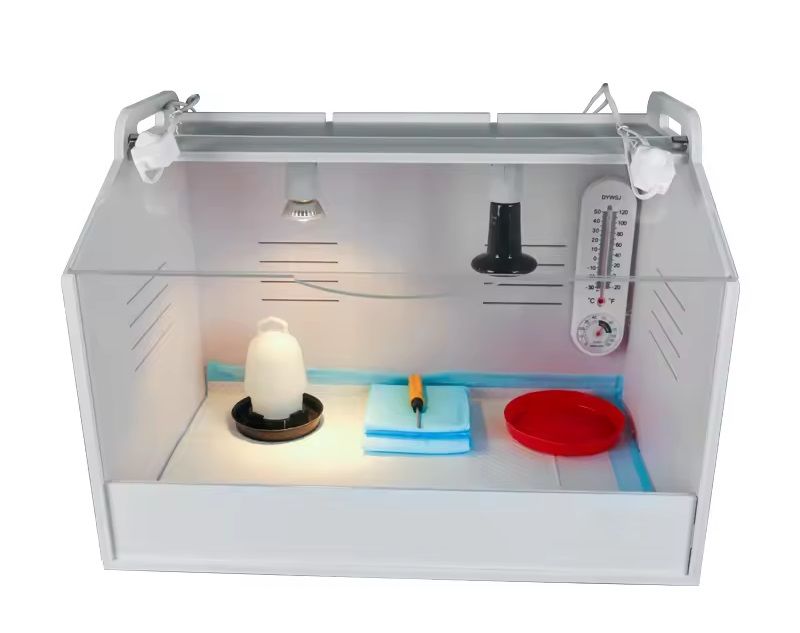 Chick Brooder | Shop Today. Get it Tomorrow! | takealot.com