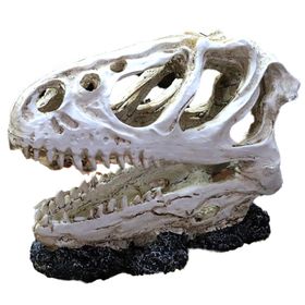 Pet Reptile Fish Tank Aquarium & Terrarium Resin T-Rex Skull (14cm ...