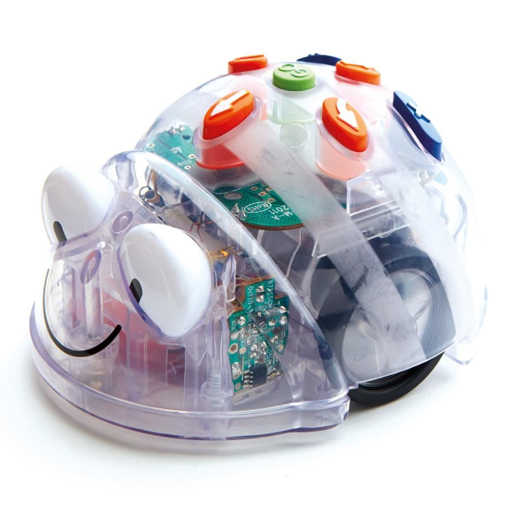 Blue-Bot Programmable Robot | Shop Today. Get it Tomorrow! | takealot.com