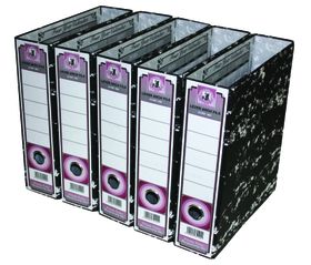 Files 10 Pack Lever Arch Special | Shop Today. Get it Tomorrow ...