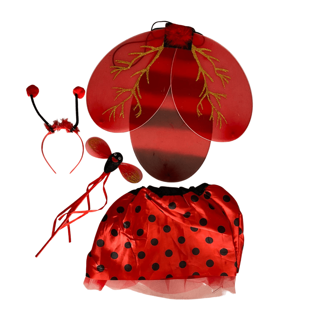 Lady Bird Tutu Set | Shop Today. Get it Tomorrow! | takealot.com