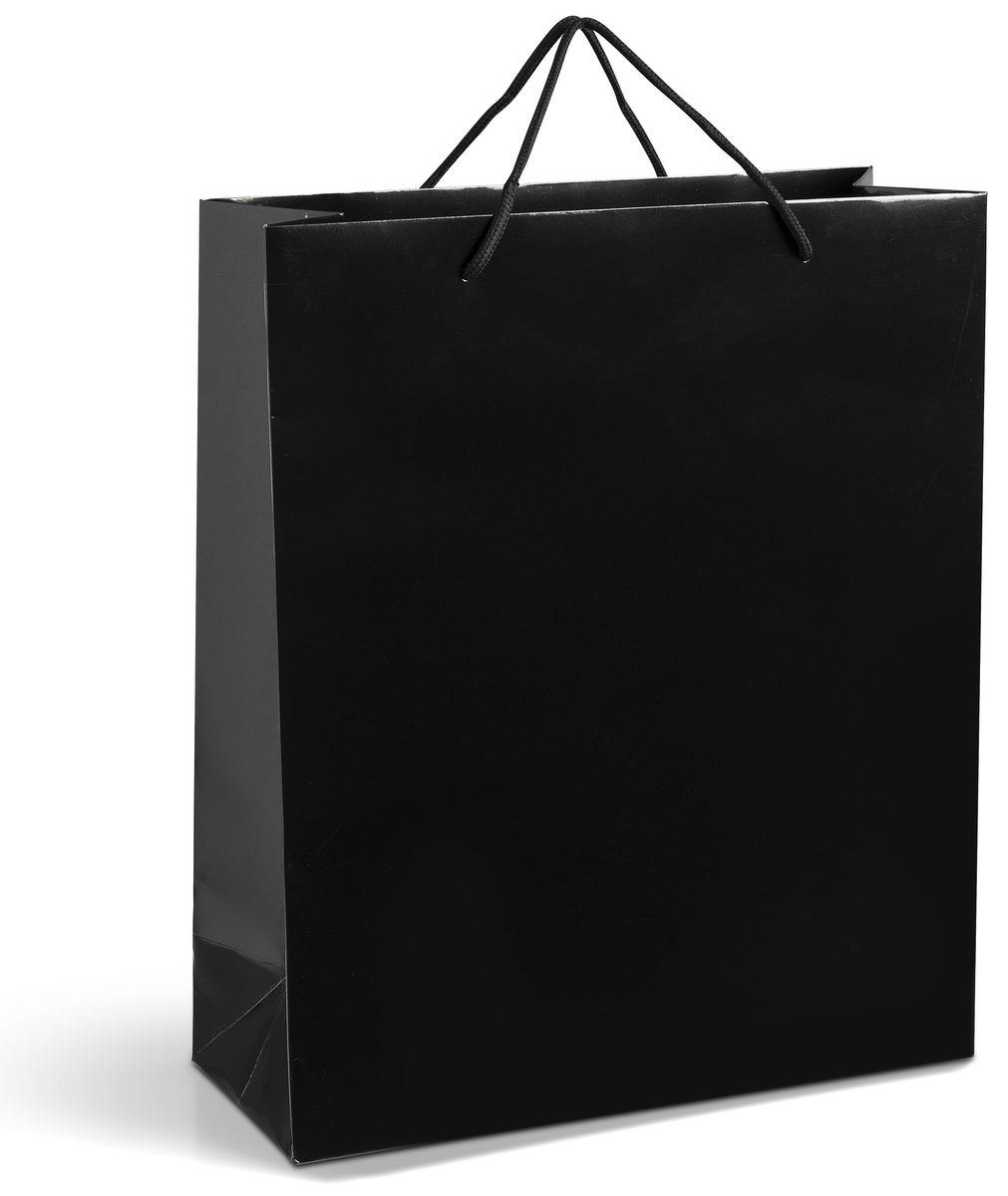 Dazzle Maxi Gift Bag | Shop Today. Get it Tomorrow! | takealot.com