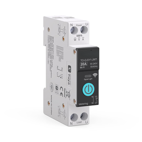 TUYA 1P+N 20A WiFi Smart Switch - Remote, Timer & Voice Control | Shop ...
