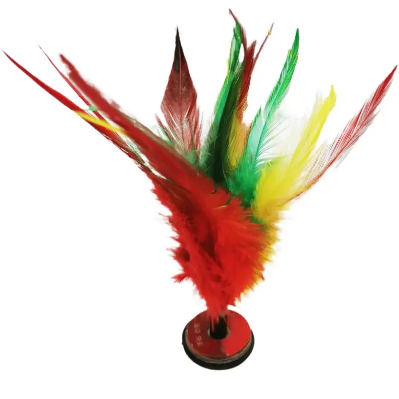 Colorful Feather Kick Shuttlecock | Shop Today. Get it Tomorrow ...