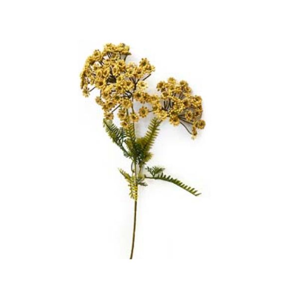 Toolhome Blossoms - Dill - Mustard - 63.5cm | Shop Today. Get it ...