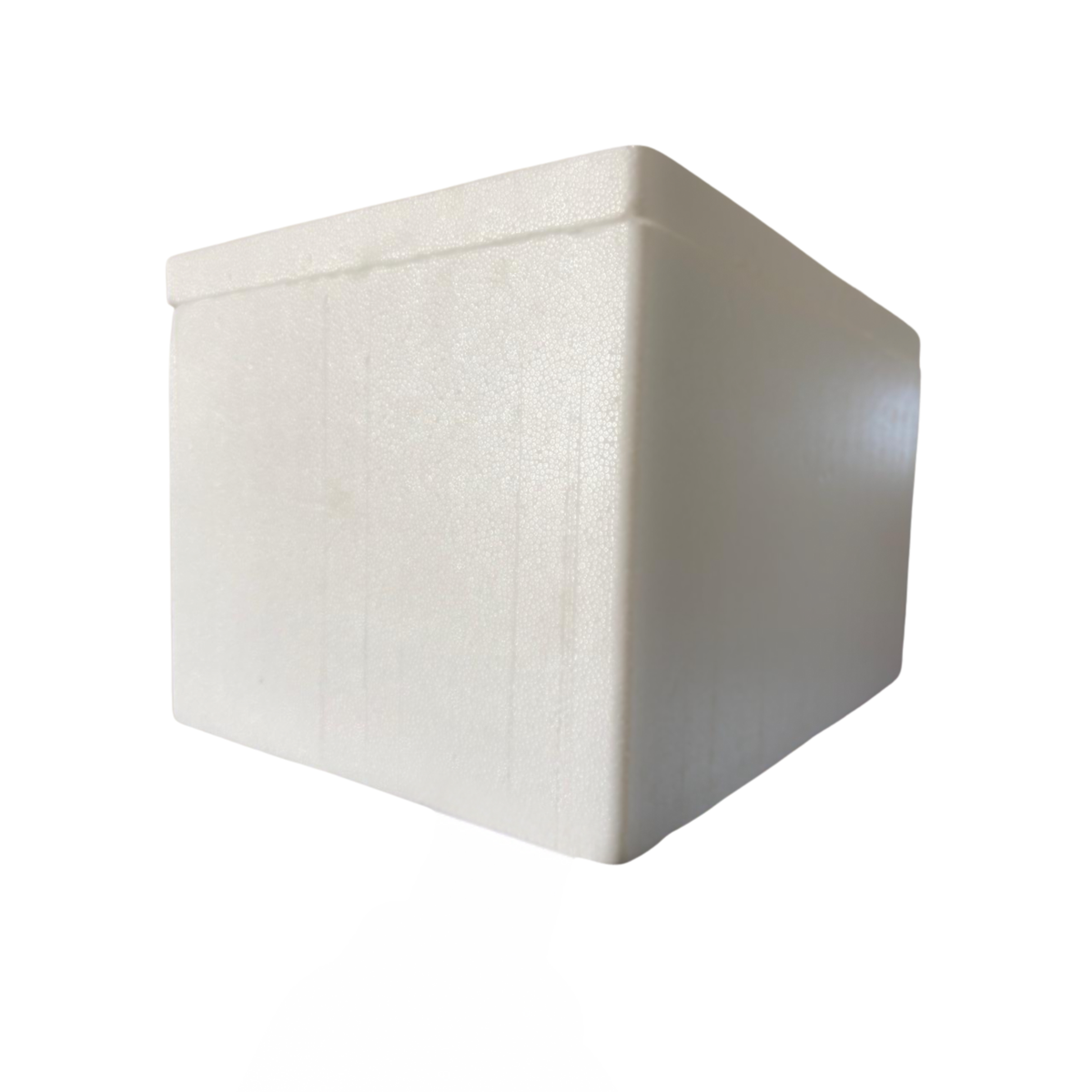 Multipurpose Polystyrene Cooler Box 8L | Shop Today. Get it Tomorrow ...