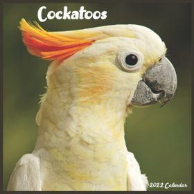 Cockatoos 2022 Calendar: Official Cockatoos Birds 2022 Calendar 16 ...