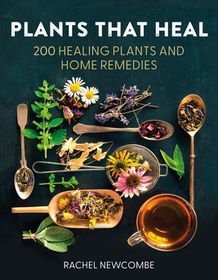 Plants That Heal | Shop Today. Get it Tomorrow! | takealot.com
