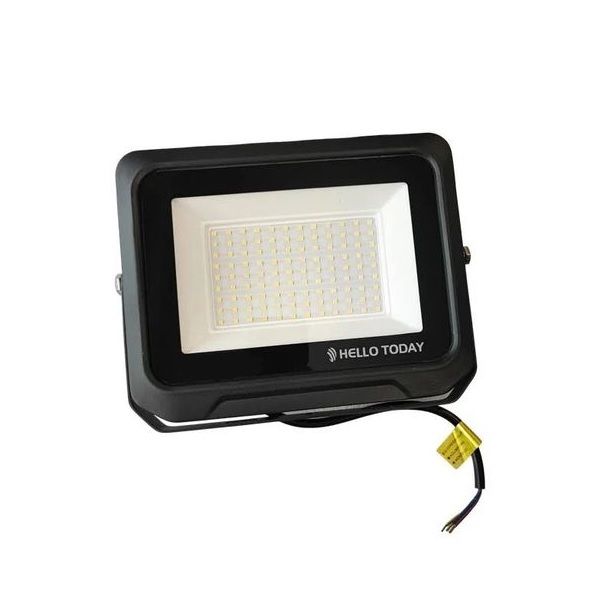 HELLO TODAY 50W LED Flood Light | Shop Today. Get it Tomorrow ...